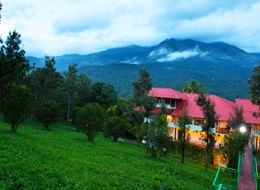 Best Treehouses in Munnar | Luxury Stays Above the Clouds